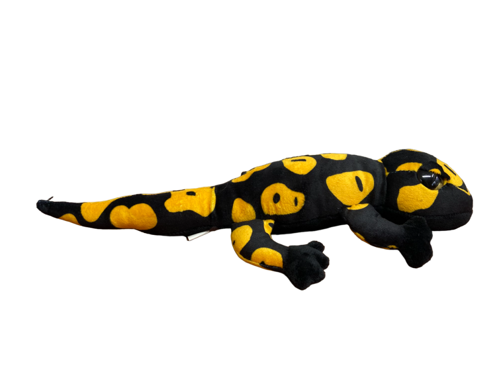 Fire Salamander Plush - BibleLand Gifts